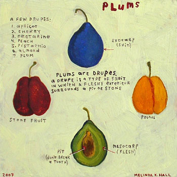 Melinda K. Hall, Artist - 2007: Basic Fruit: Odd Pomology